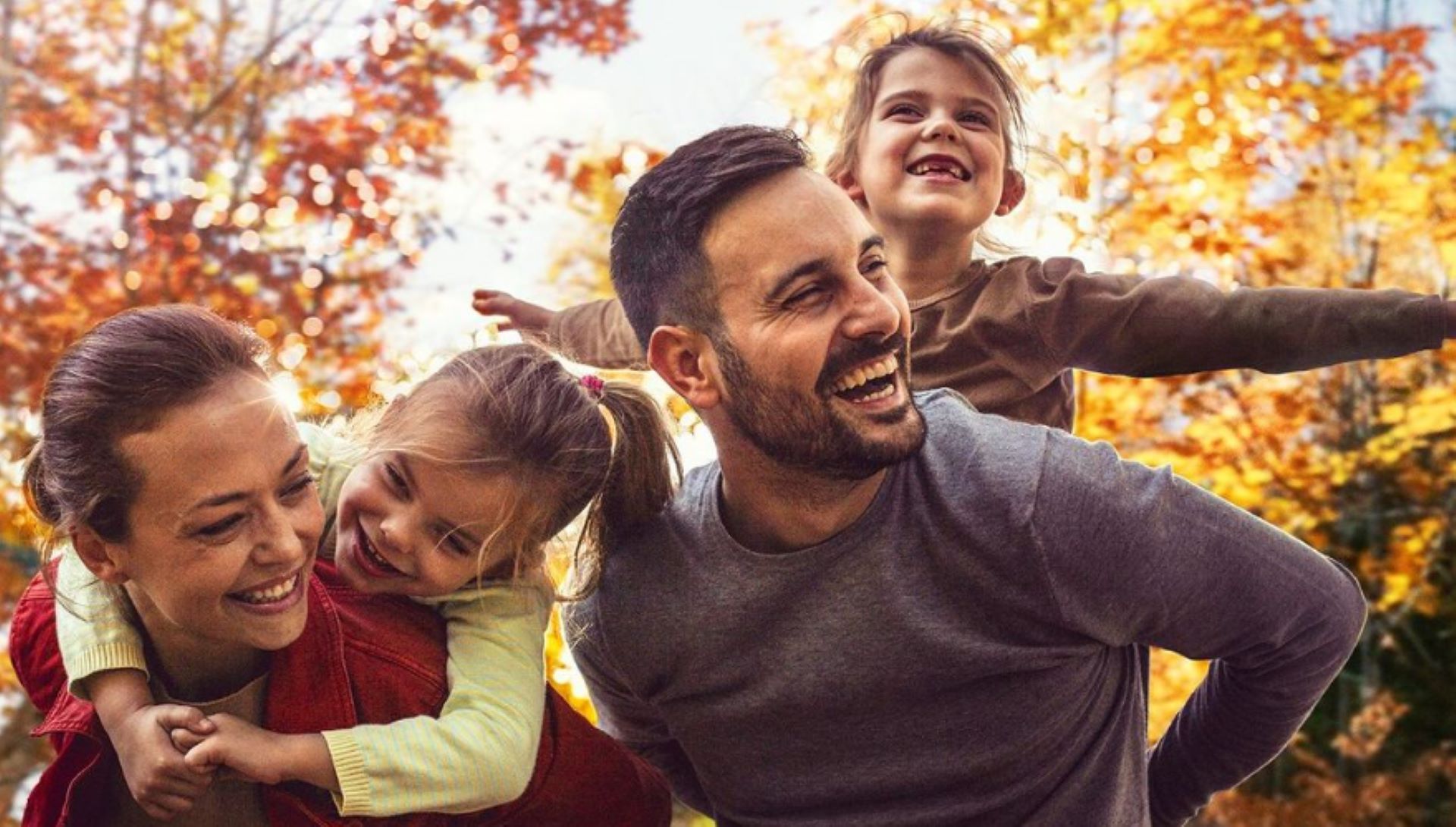 Perth Family Attractions | Novotel Perth Murray Street